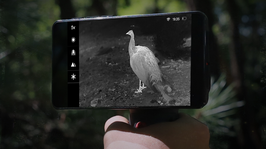 Thermal camera for wildlife | best thermal camera for wildlife